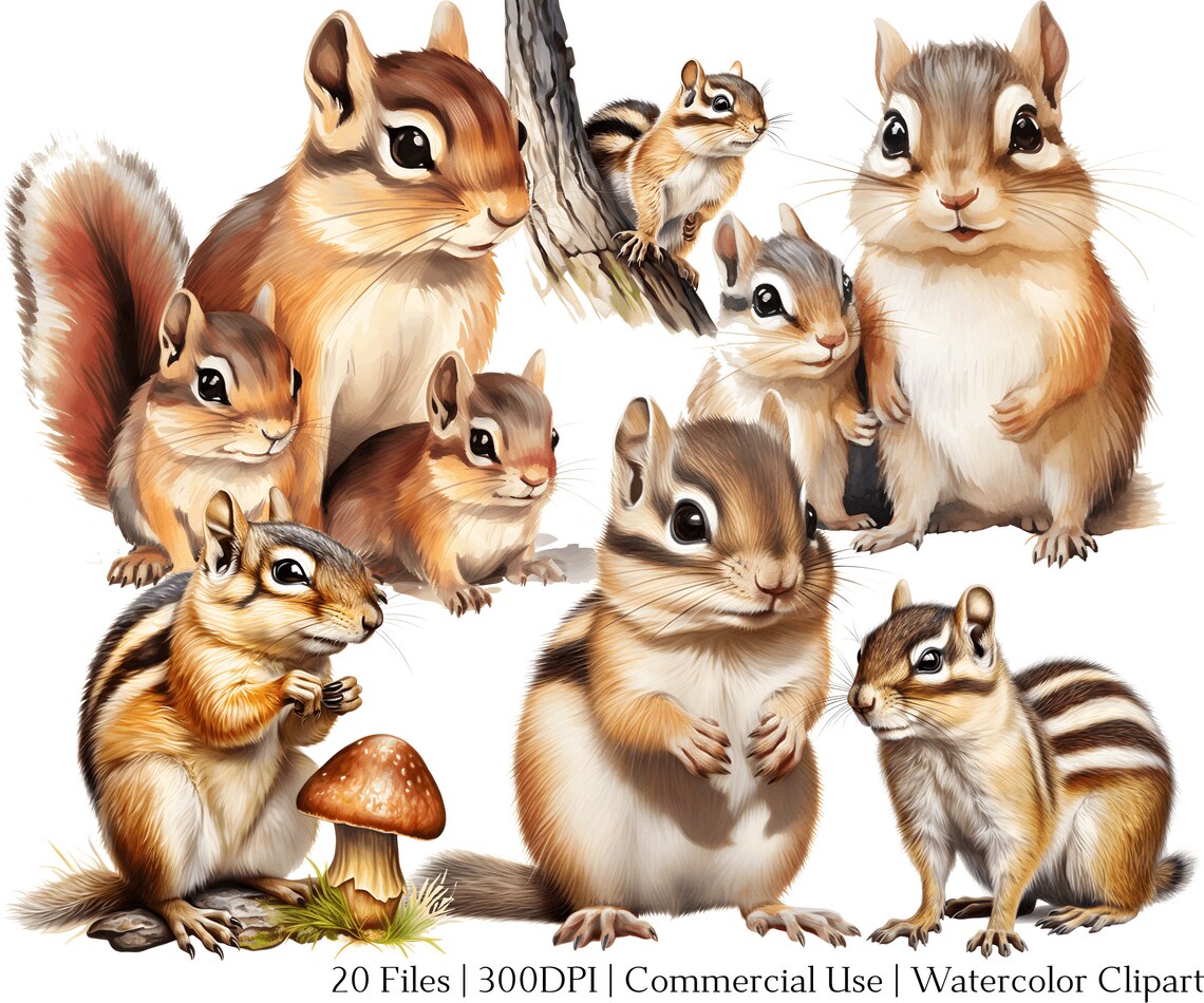 Watercolor Chipmunks Clipart Set of 20 Files With Instant Download ...