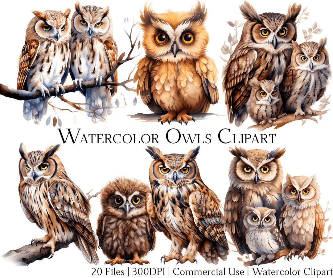 Watercolor Owls Clipart Set: 20 PNG & PDF Files (commercial Use) - Etsy