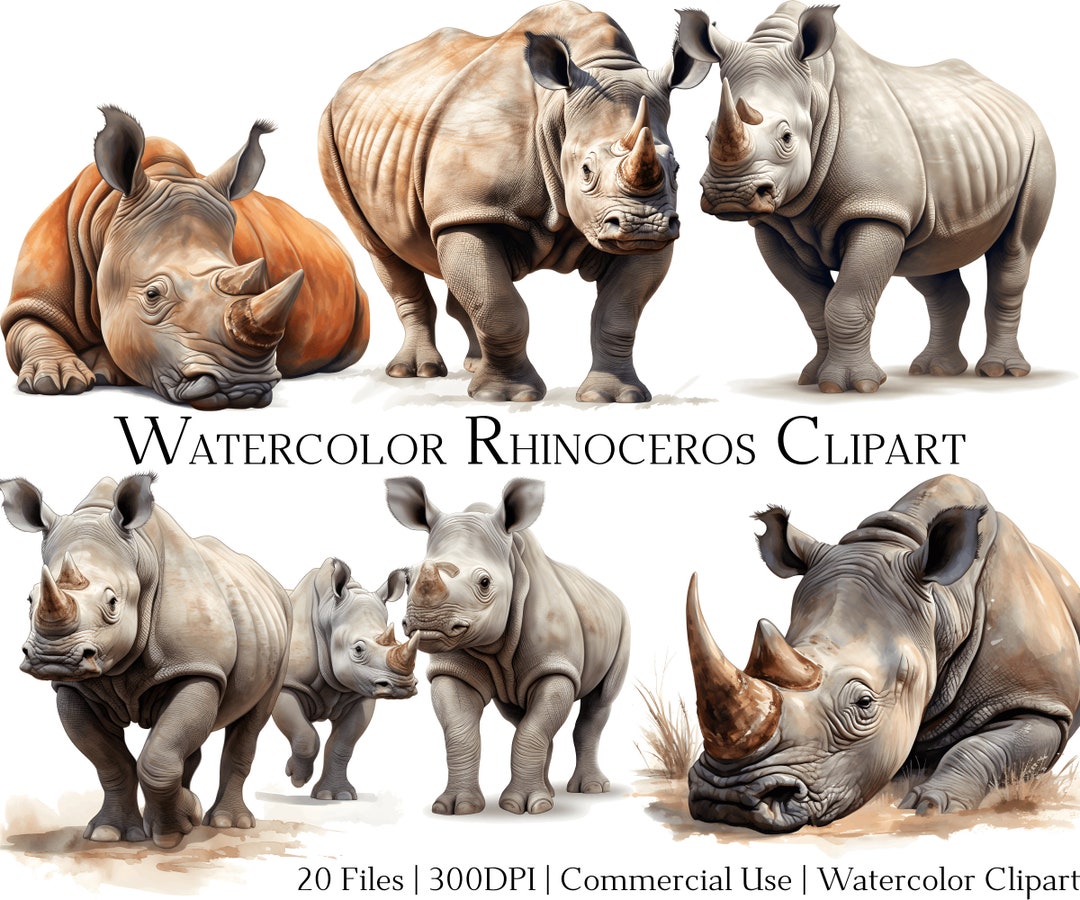 Watercolor Rhino Clipart Set of 20 Files With Instant Download ...