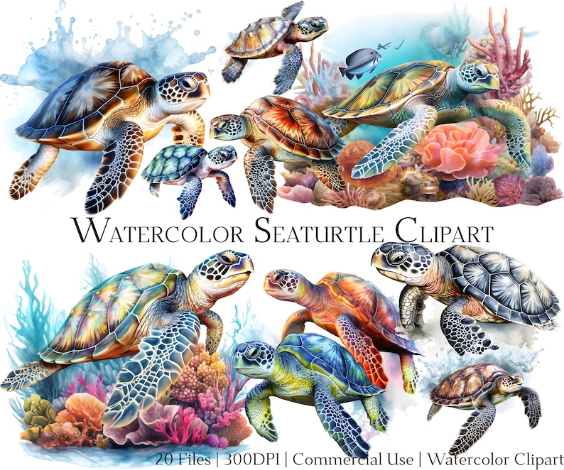 Watercolor Sea Turtle Clipart Set of 20 Files With Instant Download ...