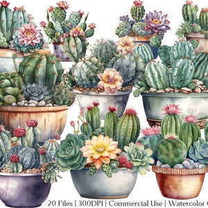 Watercolor Potted Cactus Plants Clipart Set of 20 Files With Instant ...