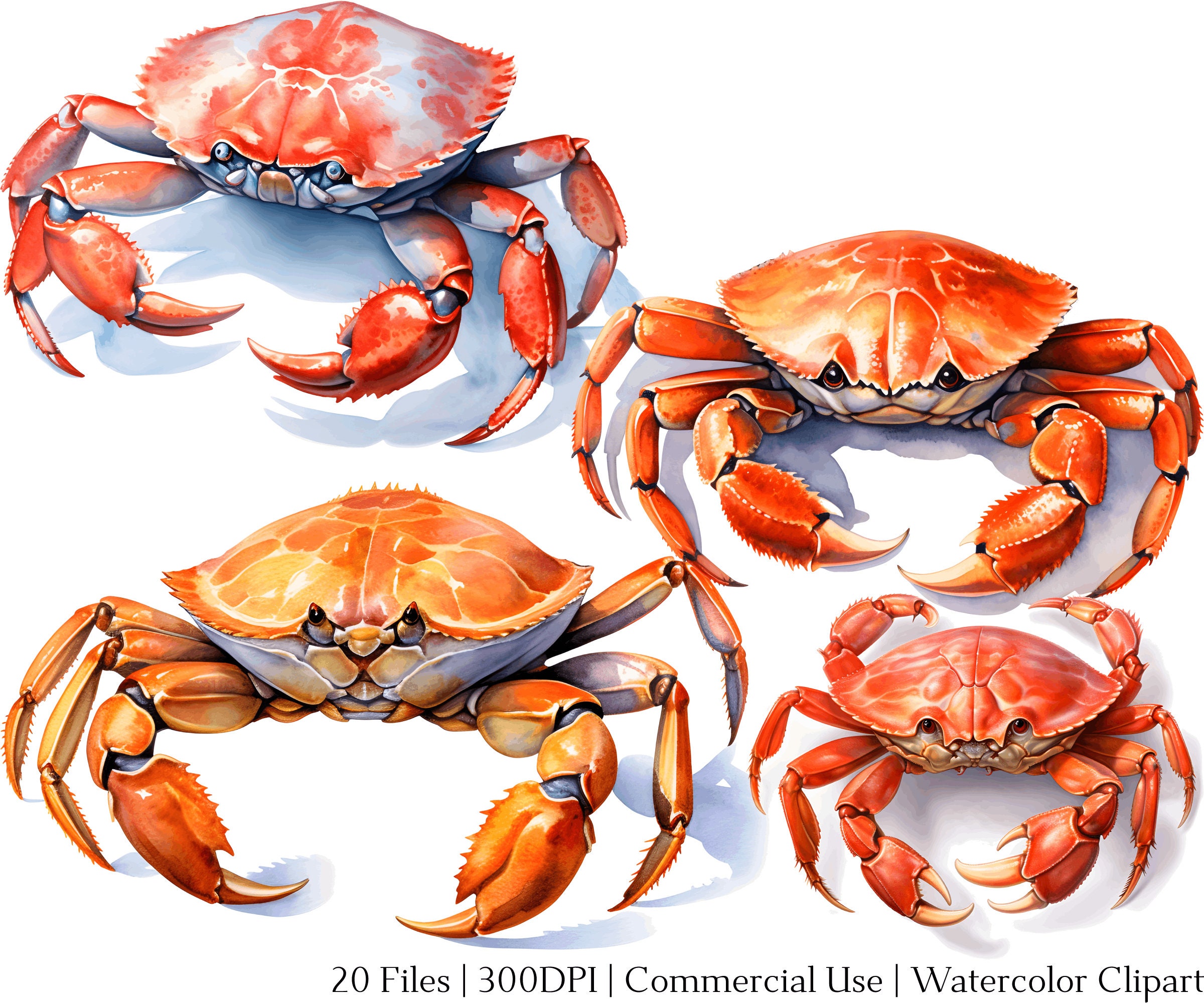 Watercolor Crabs Clipart Set of 20 Files With Instant Download ...