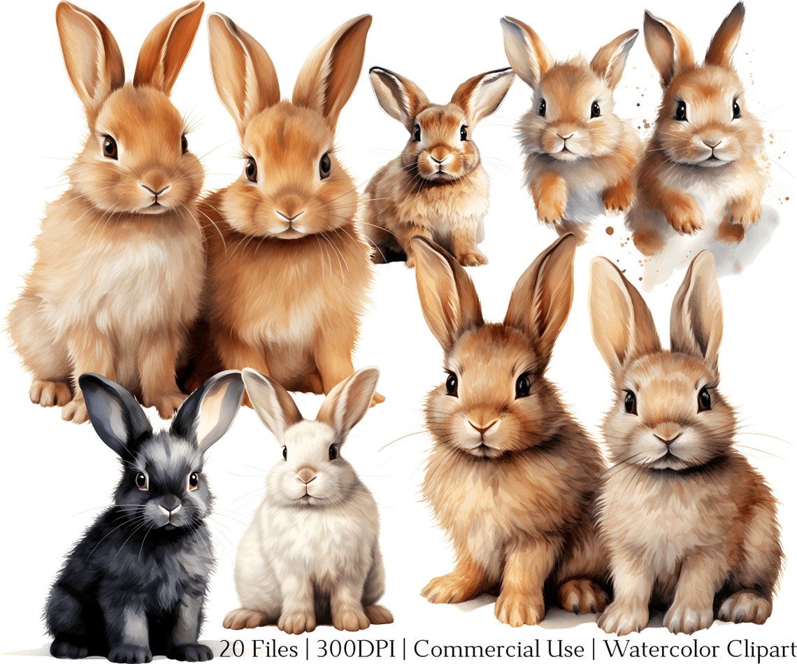 Watercolor Rabbits Clipart Set of 20 Files With Instant Download ...