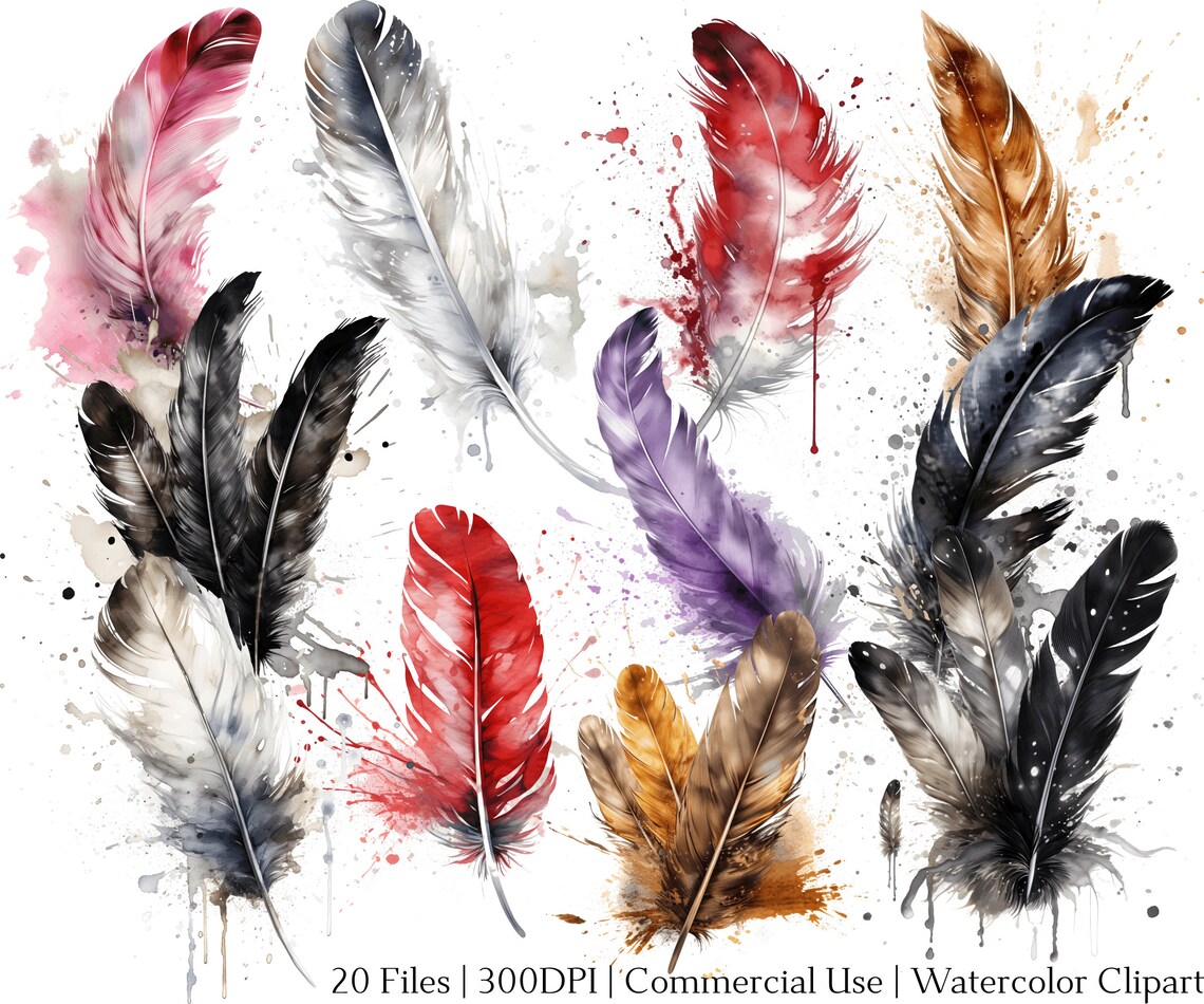 Watercolor Elegant Feathers Clipart Set of 20 Files With Instant ...