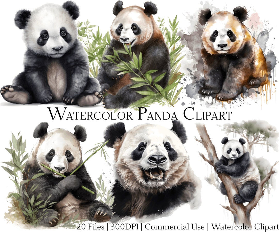 Watercolor Panda Clipart Set of 20 Files With Instant Download ...