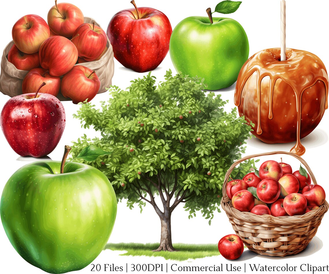 Watercolor Apples Clipart Set of 20 Files With Instant Download ...