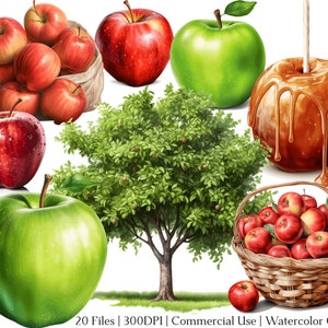 Watercolor Apples Clipart Set of 20 Files With Instant Download ...