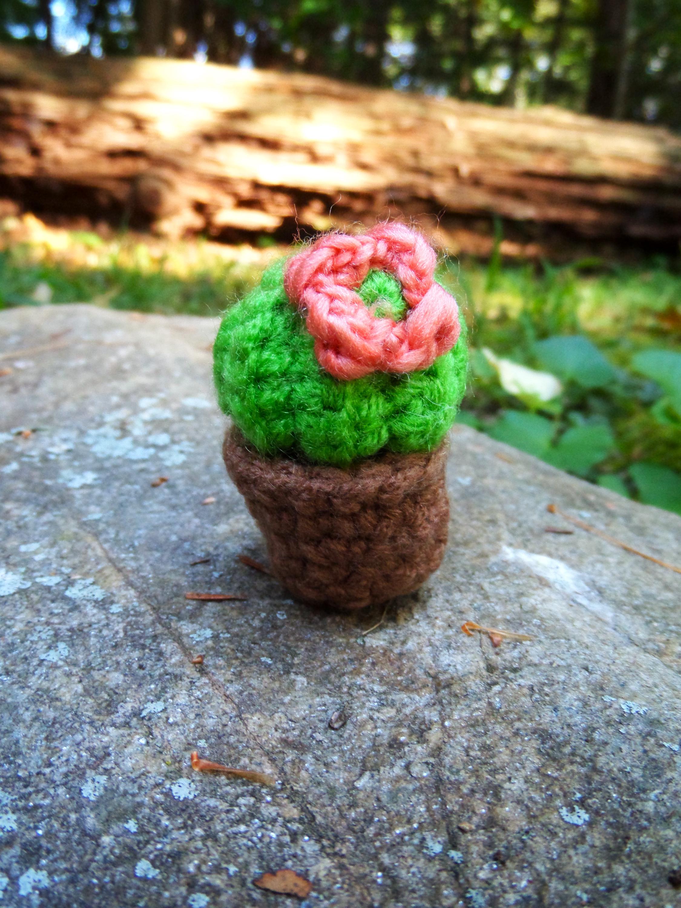 Cactus Pot Keychain - Etsy
