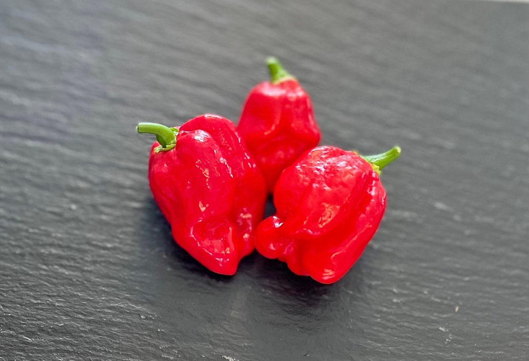 Trinidad Moruga Scorpion Pepper Seeds - Etsy
