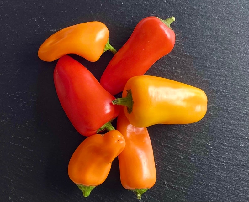 Mini Sweet Rainbow Pepper Seeds - Etsy