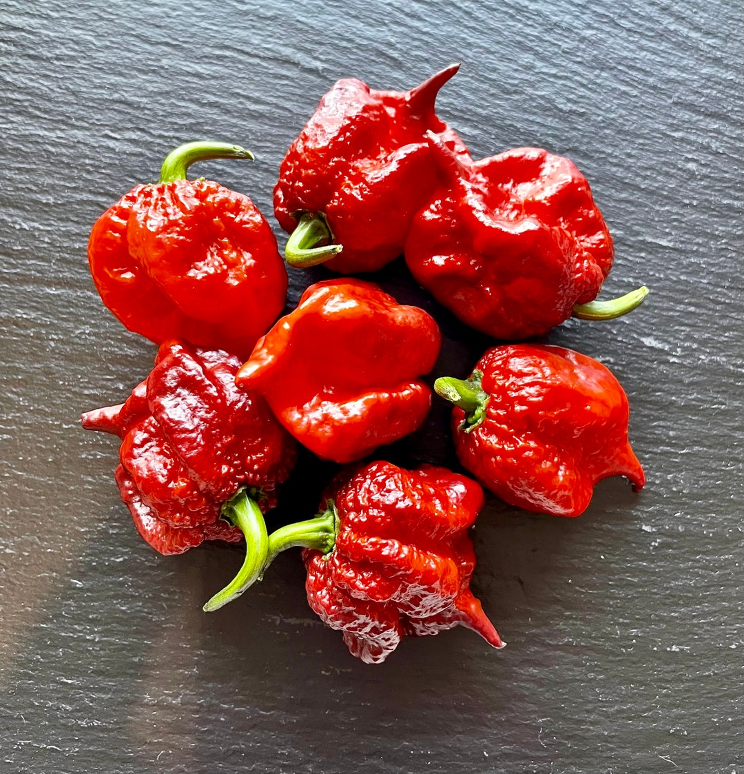 Orion Pepper Seeds - Etsy