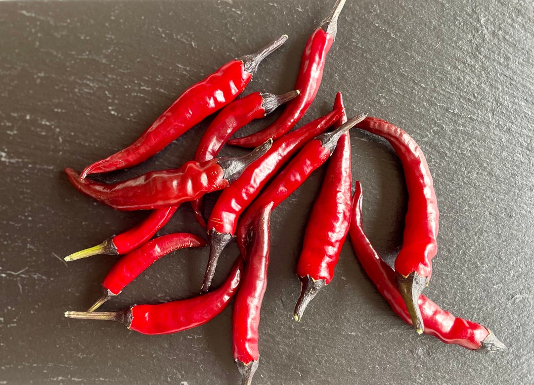 Midwest Midnight Eclipse Pepper Seeds - Etsy