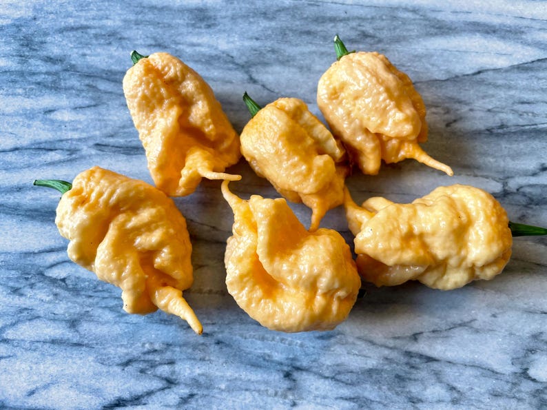 Golden Reaper Pepper Seeds - Etsy
