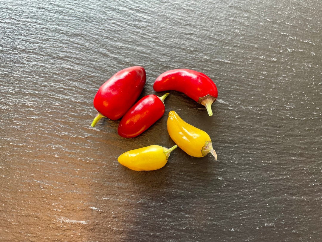 Dwarf Ornamental Pepper Seeds - Etsy