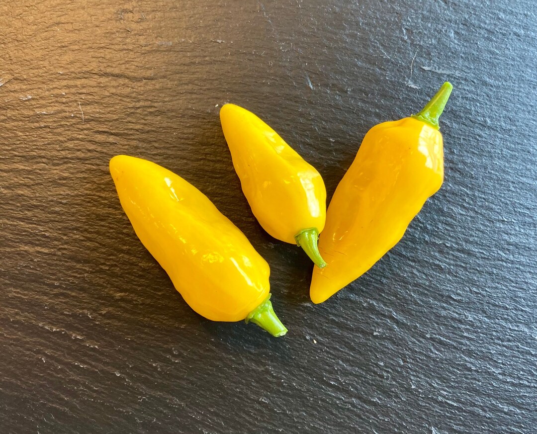 Grenada Pepper Seeds - Etsy