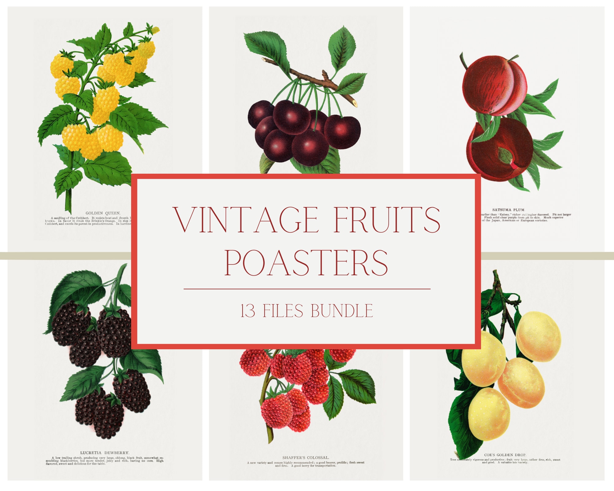 Vintage Fruits Posters - 13 PNG Files - Instant Download - Etsy