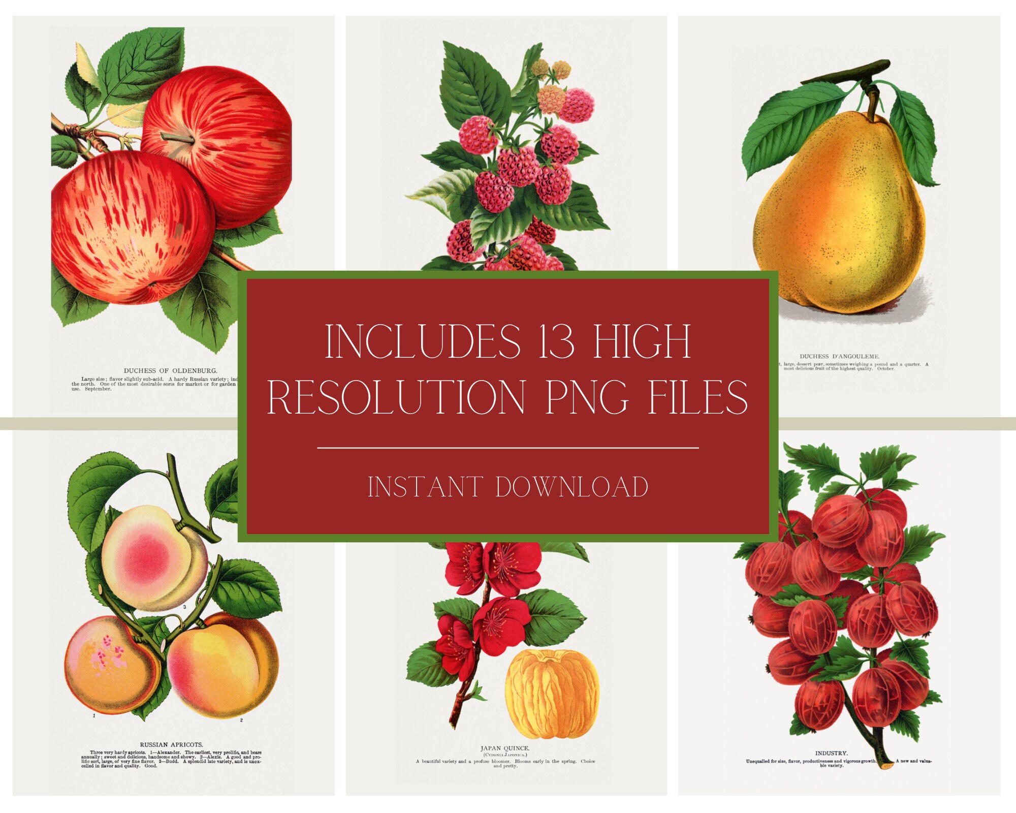 Vintage Fruits Posters - 13 PNG Files - Instant Download - Etsy