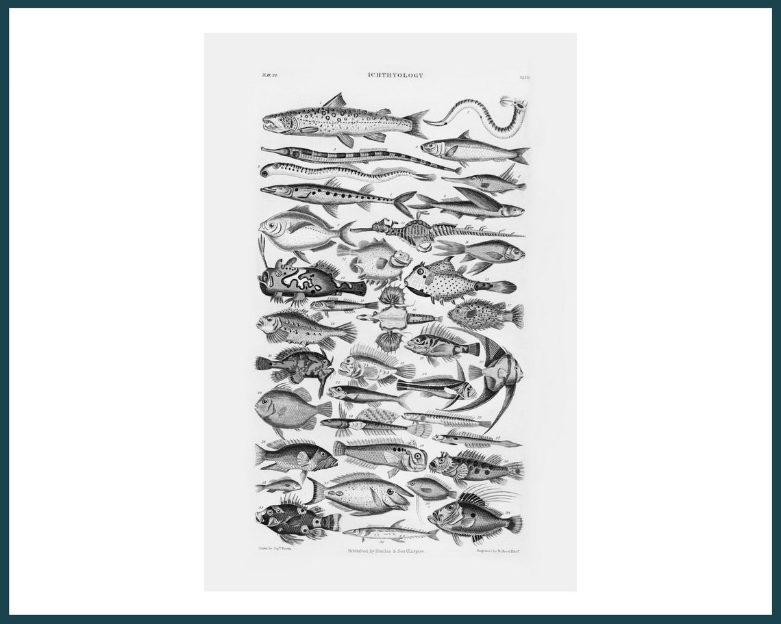 Set of 26 Nautical Sketches and Line Art Illustrations - Instant ...