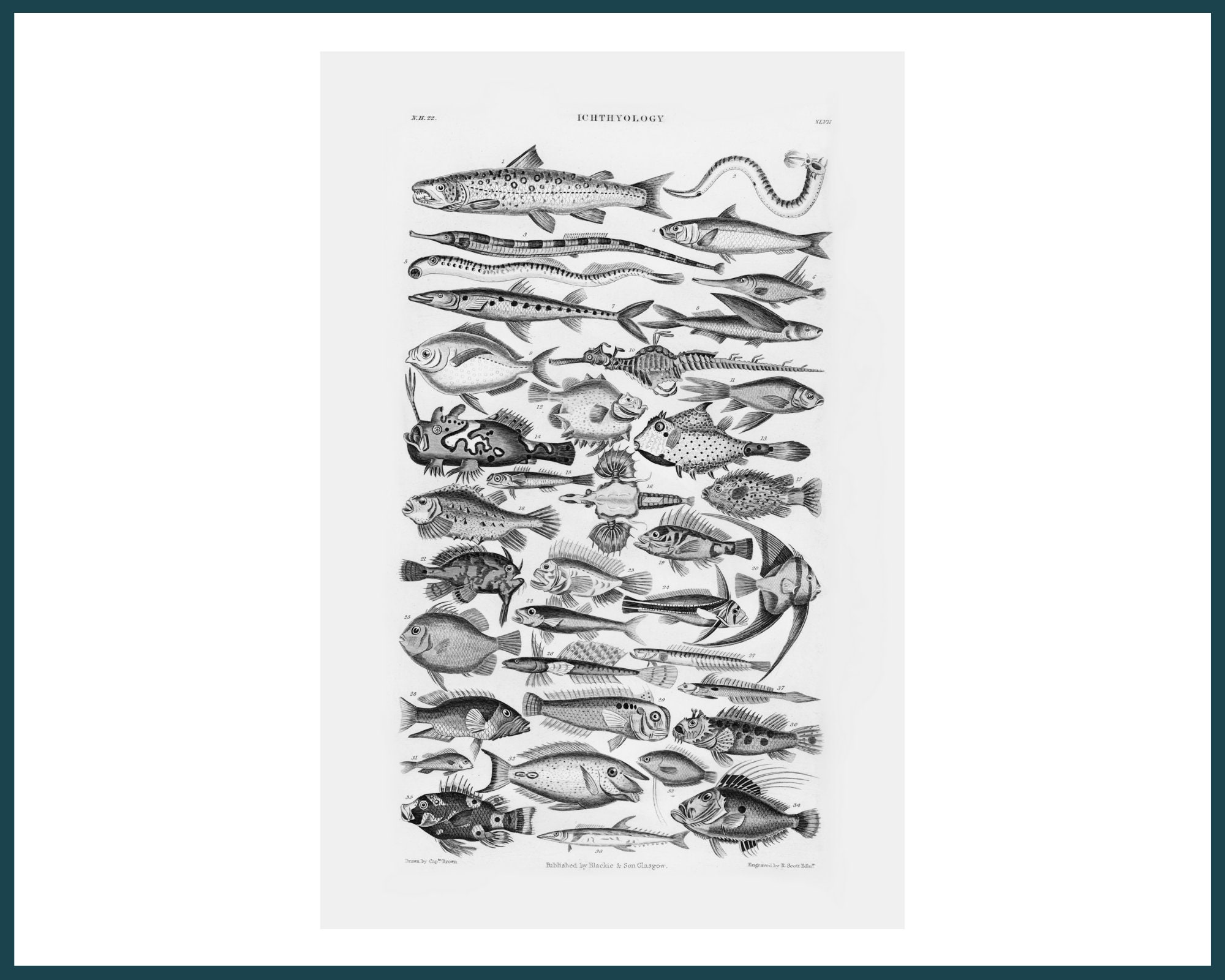 Set of 26 Nautical Sketches and Line Art Illustrations - Instant ...