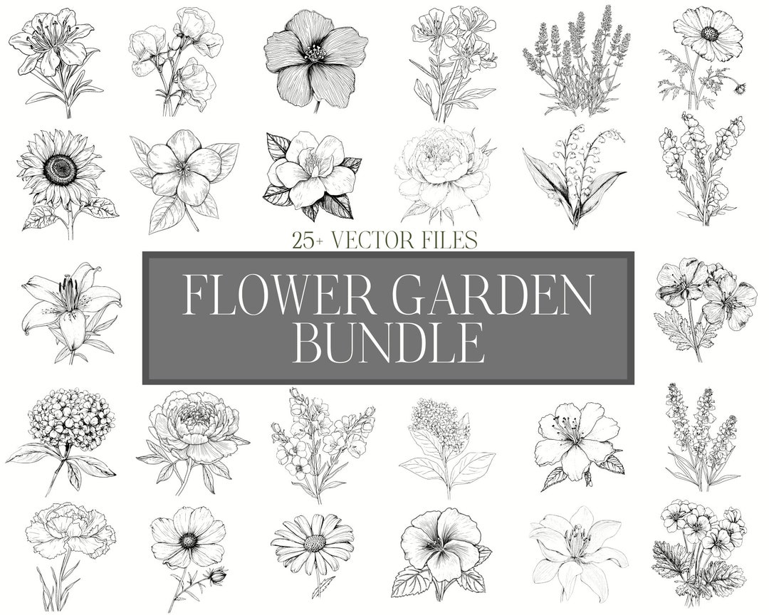 Garden Flowers Line Art Vectors - SVG - Set of 27 Files - Bundle ...