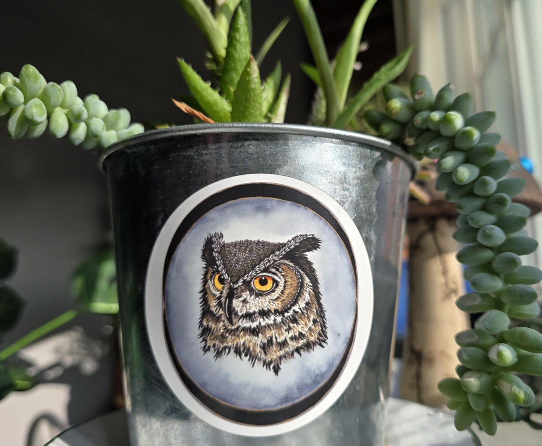 Watercolor Woodland Great Horned Owl Magnet (yeah, This Owl Has RBF) - Etsy