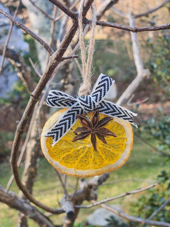 Orange Ornament Set Juliet Beaded Bee Ornament Set In Chocolate And