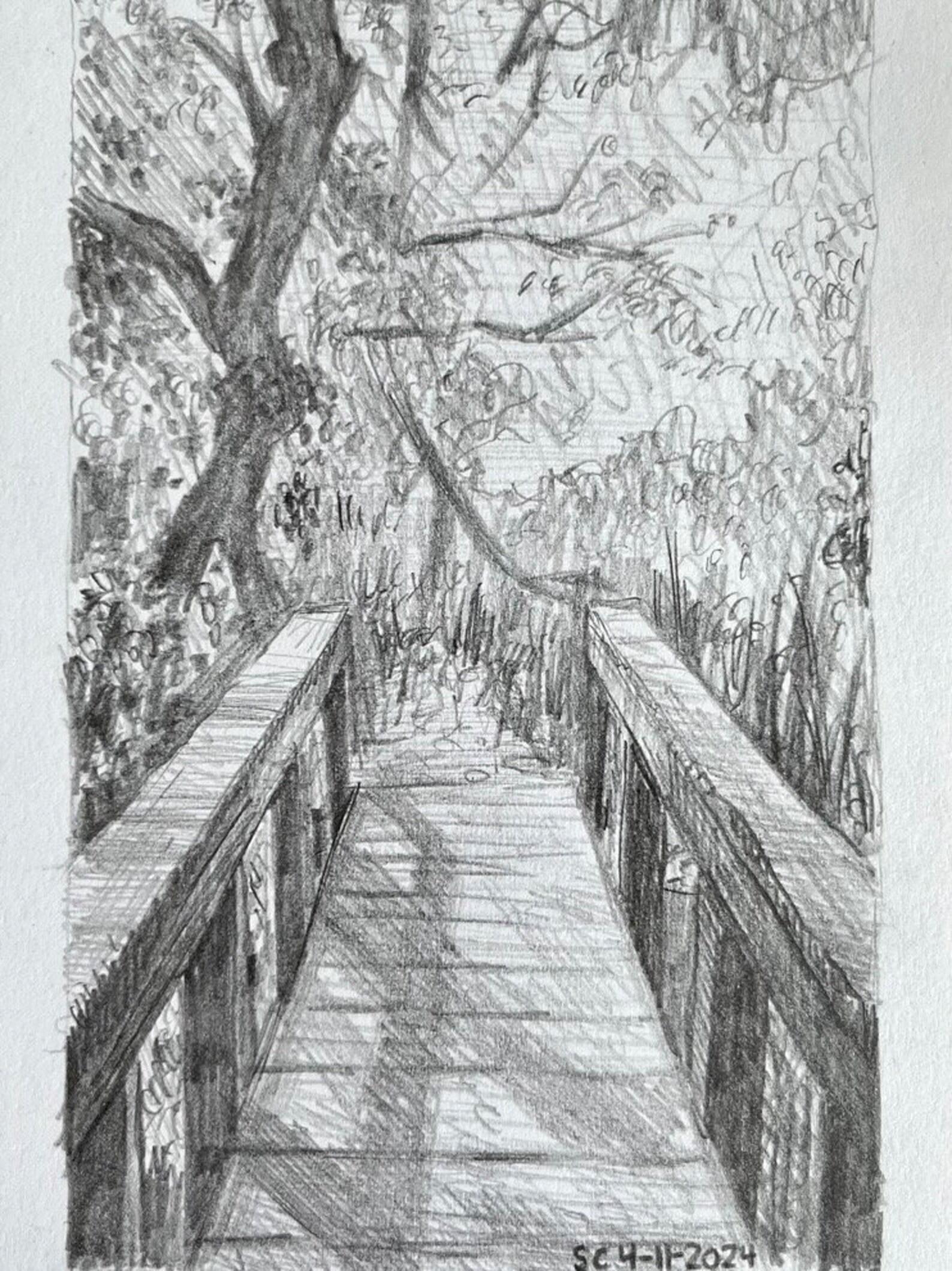 Oceanside Guajome Park Original Art | San Diego Drawing | Original Hand ...