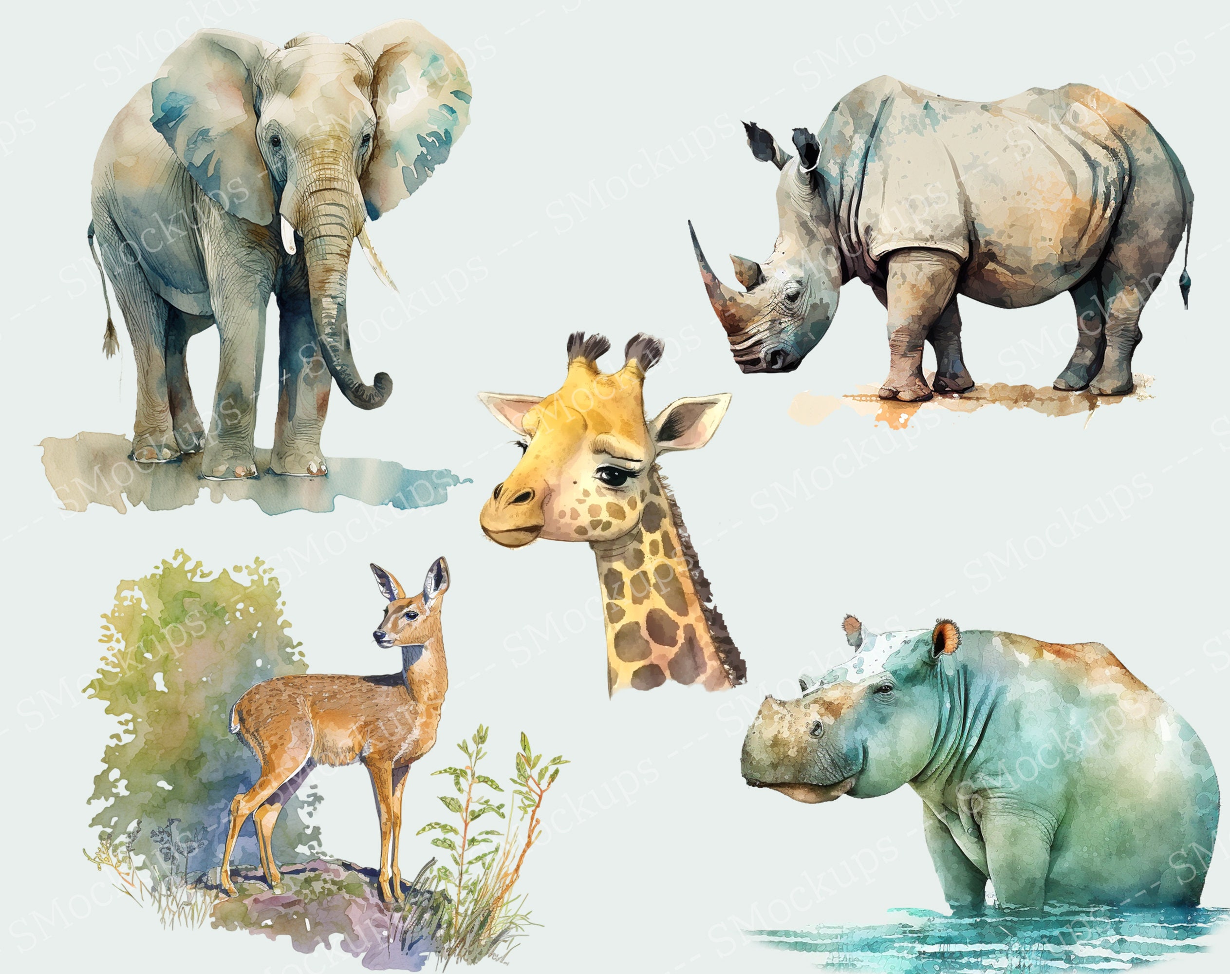 African Herbivores Animals Png Clipart Bundle, Watercolor Animals for ...