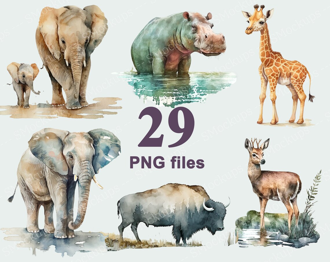 African Herbivores Animals Png Clipart Bundle Watercolor - Etsy
