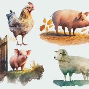 Farm Animals Png Clipart Bundle, Watercolor Animals for Cards ...