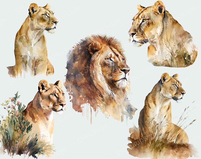 Predatory Animals of Africa Png Clipart Bundle Watercolor - Etsy