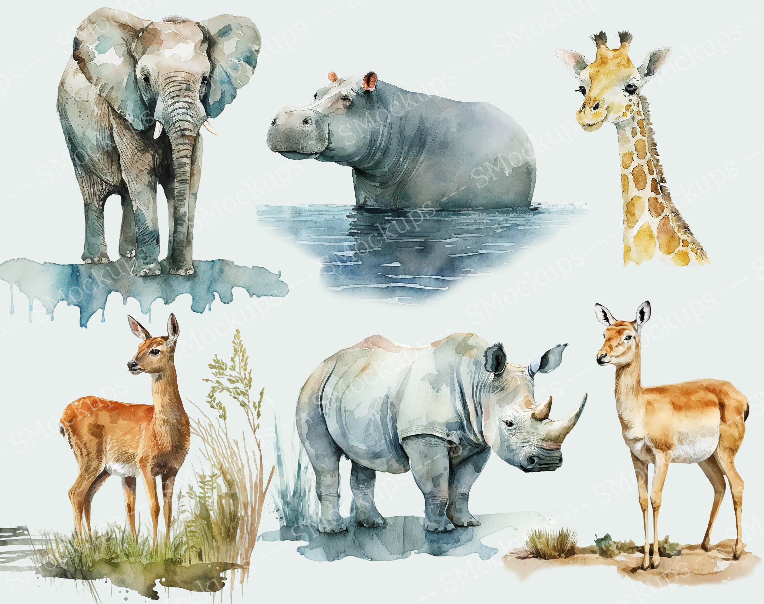 African Herbivores Animals Png Clipart Bundle (Instant Download) - Etsy