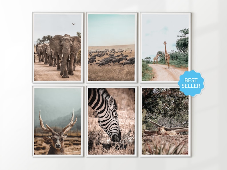 Safari Savanna Africa Printable Photography Posters Set of 6 | South ...