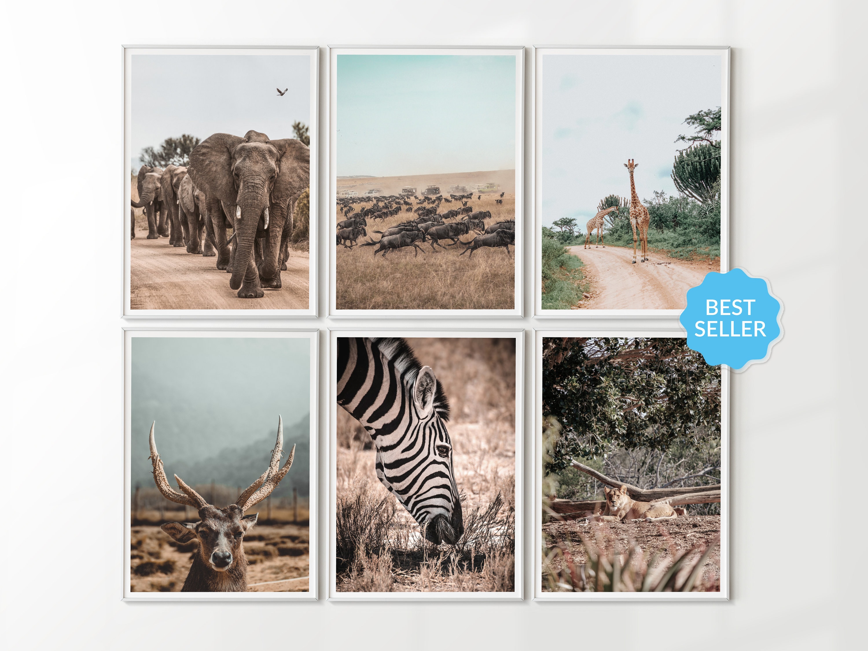 Safari Savanna Africa Printable Photography Posters Set of 6 | South ...