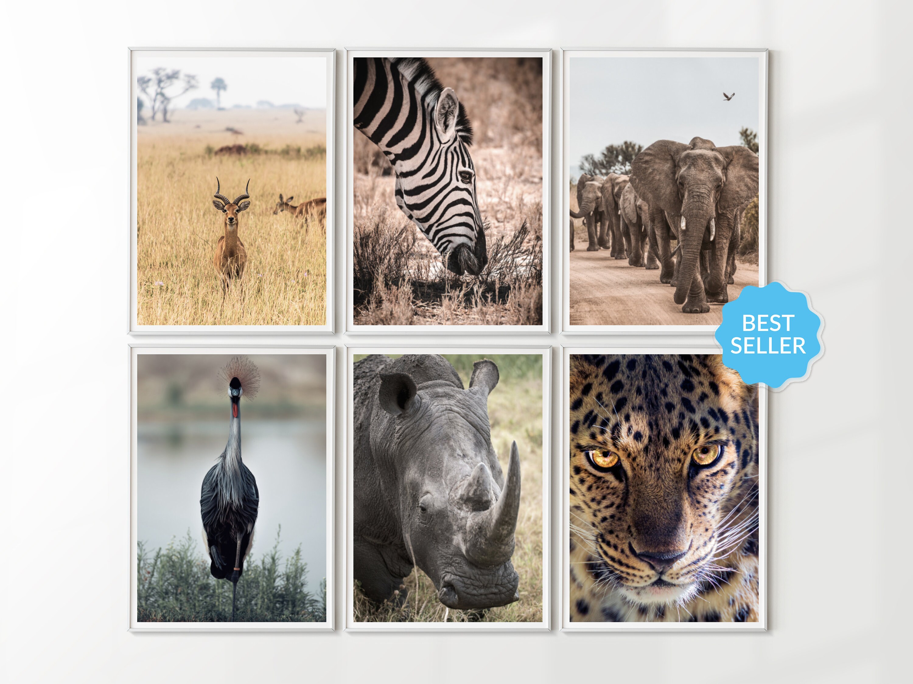 Safari Savanna Africa Printable Photography Posters Set of 6 South ...