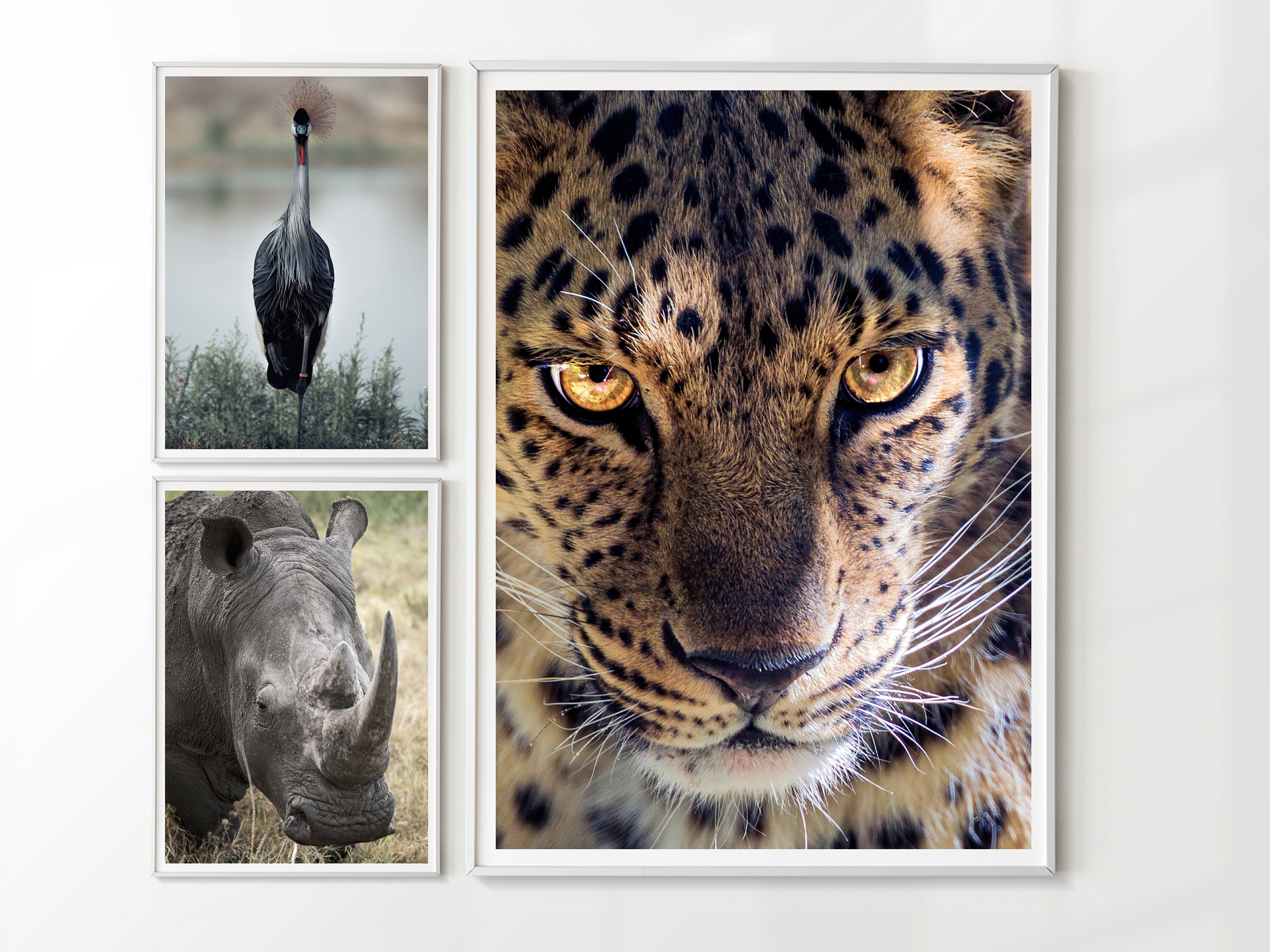 Safari Savanna Africa Printable Photography Posters Set of 6 South ...
