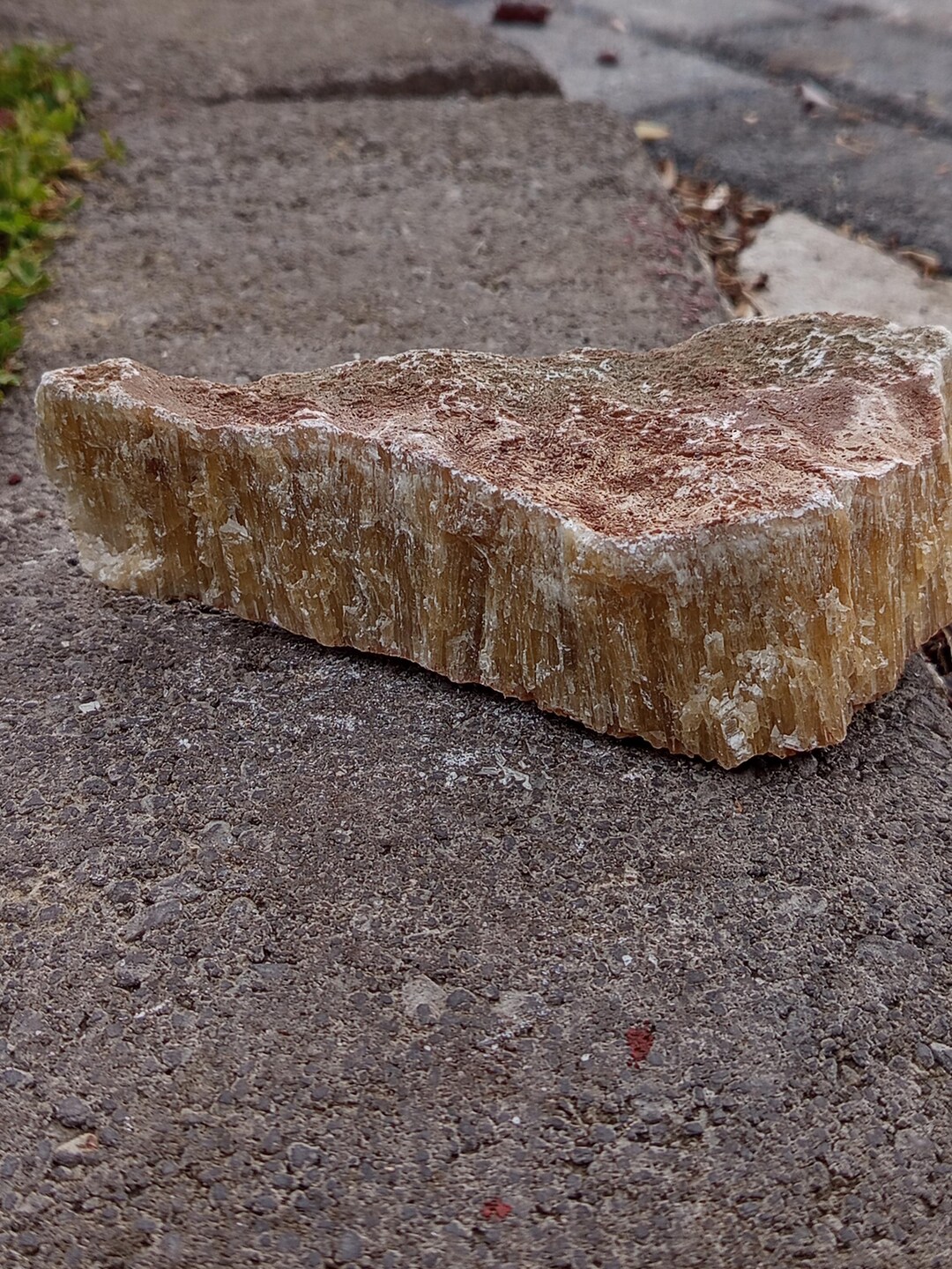 Raw Selenite Slab • Natural Crystal Slice • Rough Mineral Specimen for ...