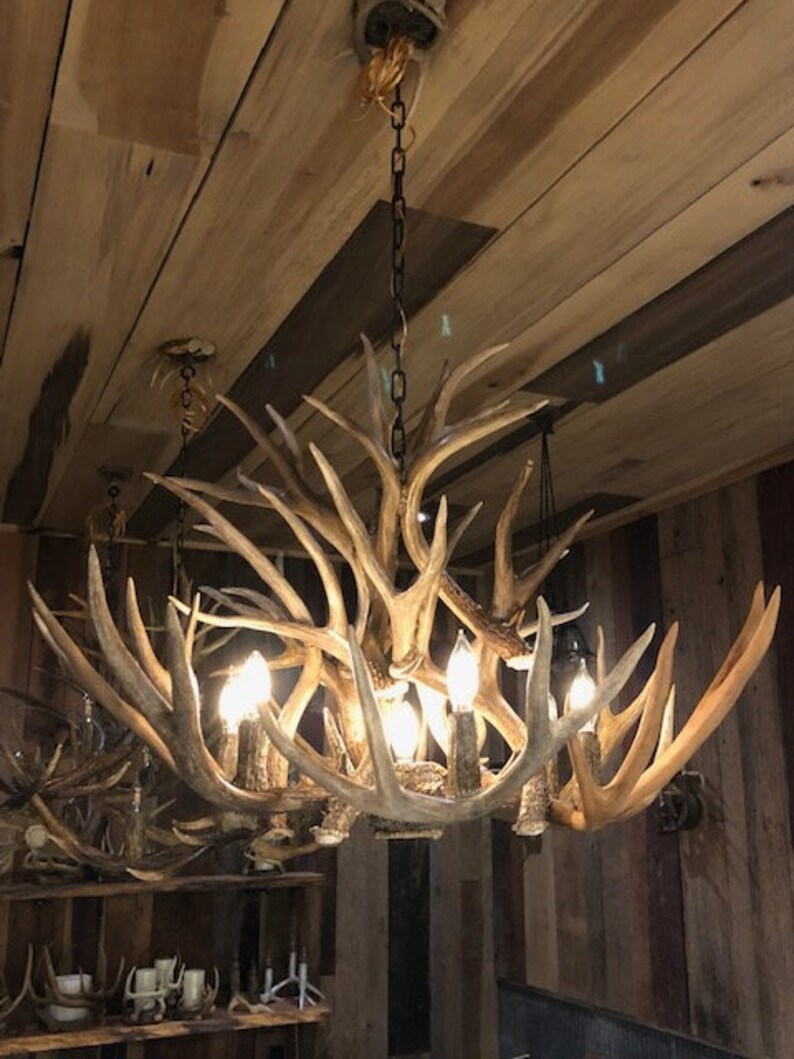 Mule Deer Antler Chandelier - Etsy