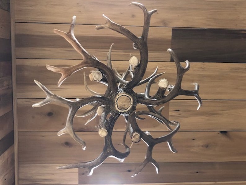 Mule Deer Antler Chandelier - Etsy