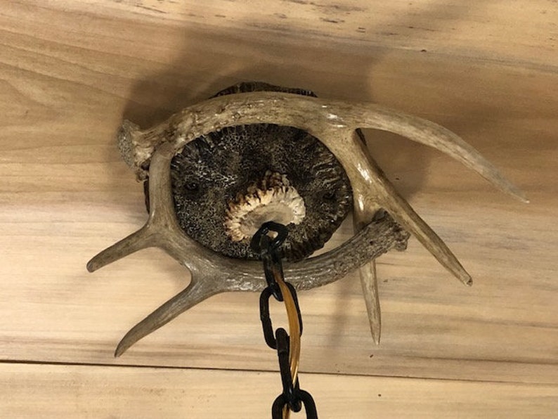 Mule Deer Antler Chandelier - Etsy