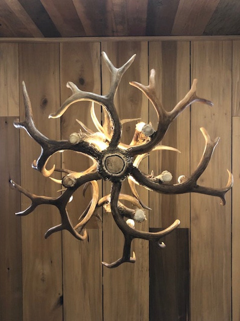 Mule Deer Antler Chandelier - Etsy