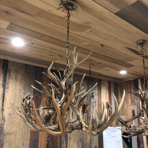 Mule Deer Antler Chandelier - Etsy