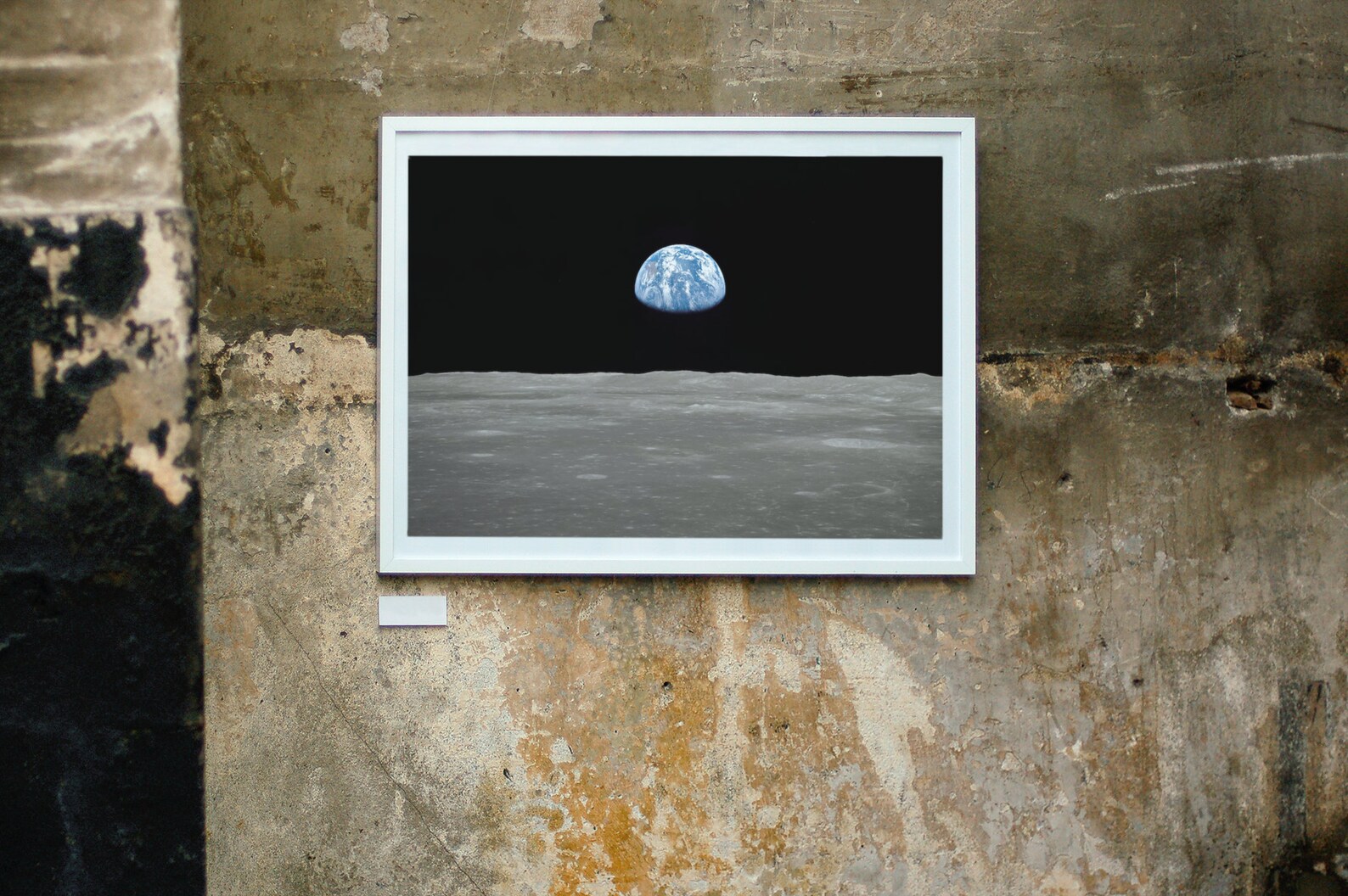 Earthrise on the Moon Poster Earth From the Moon NASA Poster Space ...