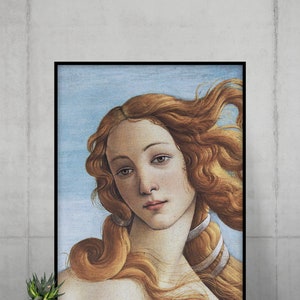 Digital Download Close up of Birth of Venus by Italian Renaissance ...