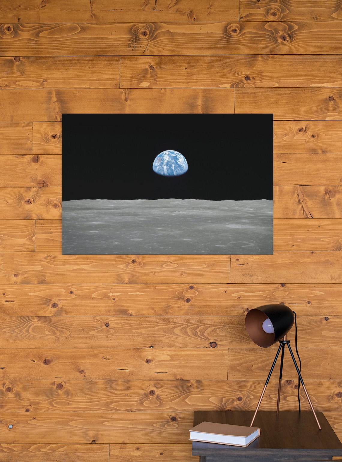 Earthrise on the Moon Poster Earth From the Moon NASA Poster Space ...