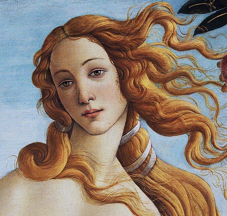 Digital Download Birth of Venus by Italian Renaissance Artist Sandro ...