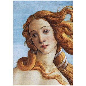 Digital Download Close up of Birth of Venus by Italian Renaissance ...