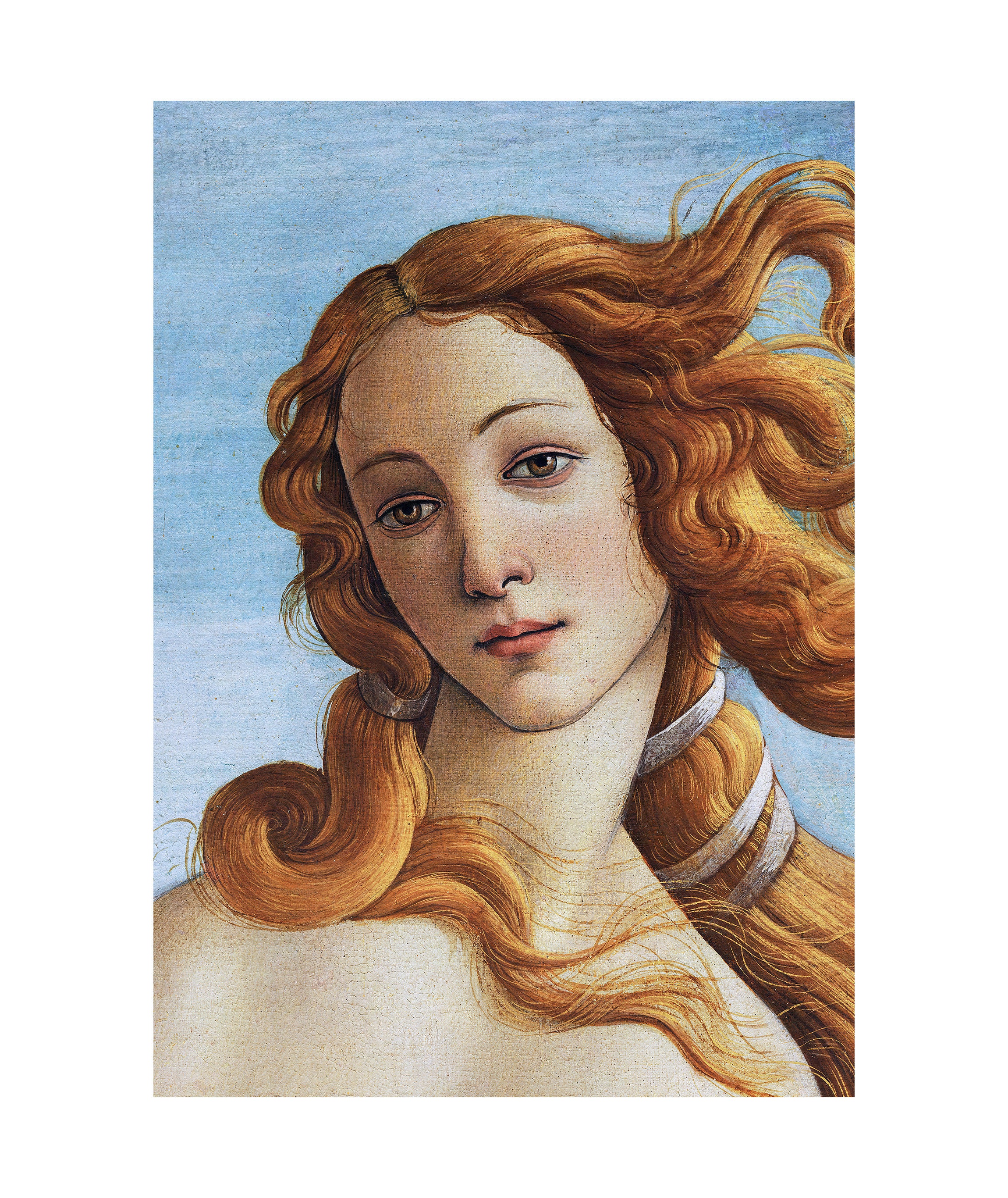 Digital Download Close up of Birth of Venus by Italian Renaissance ...