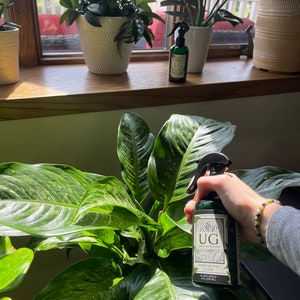 Houseplant Health Spray - Nutrient Plant Food - Super Growth Elixir ...