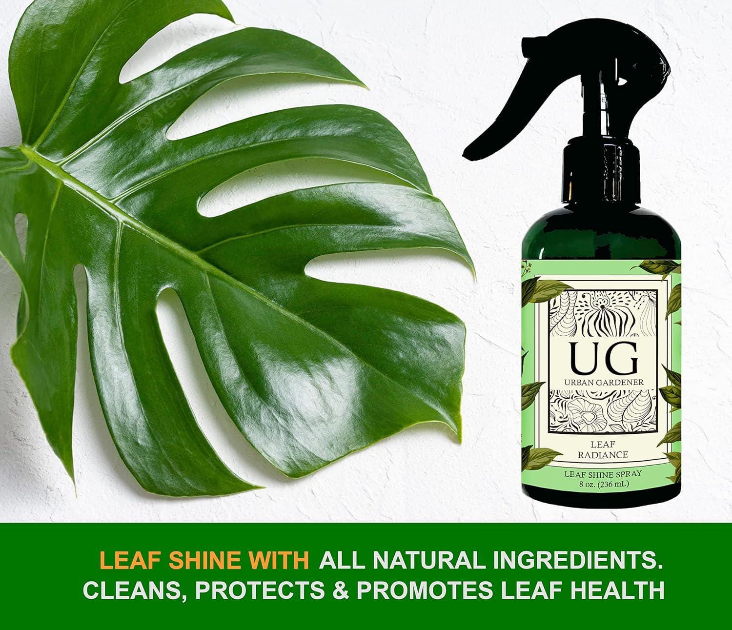 Natural Leaf Shine: Plant Cleaner & Conditioner Refill - Etsy